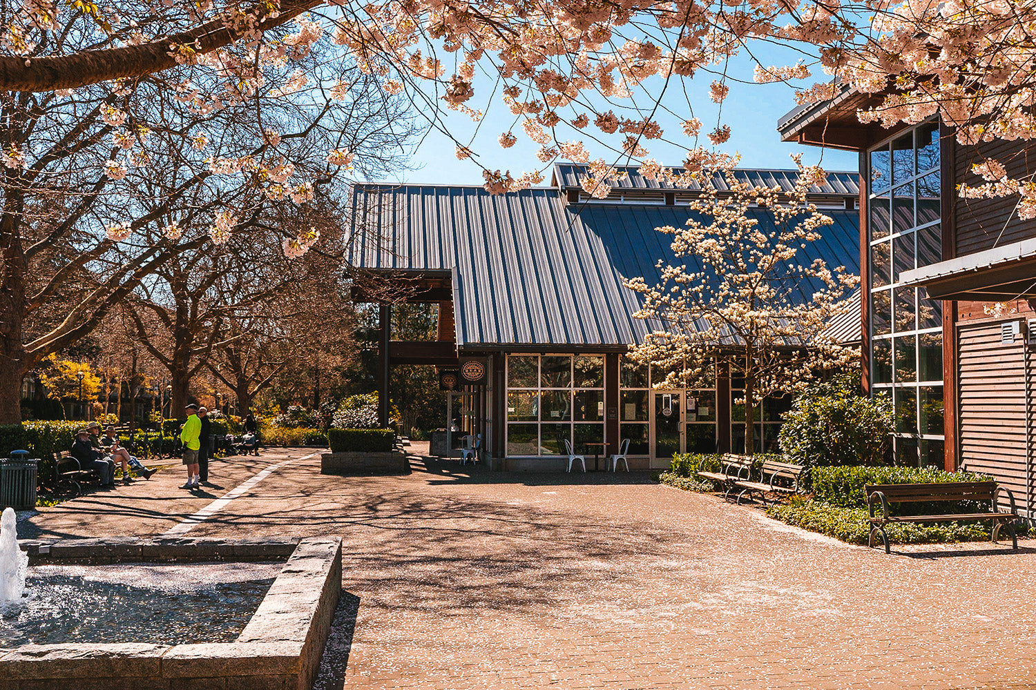 BATW: Make the Most of your Coffee Shop Experience – Bean Around The ...