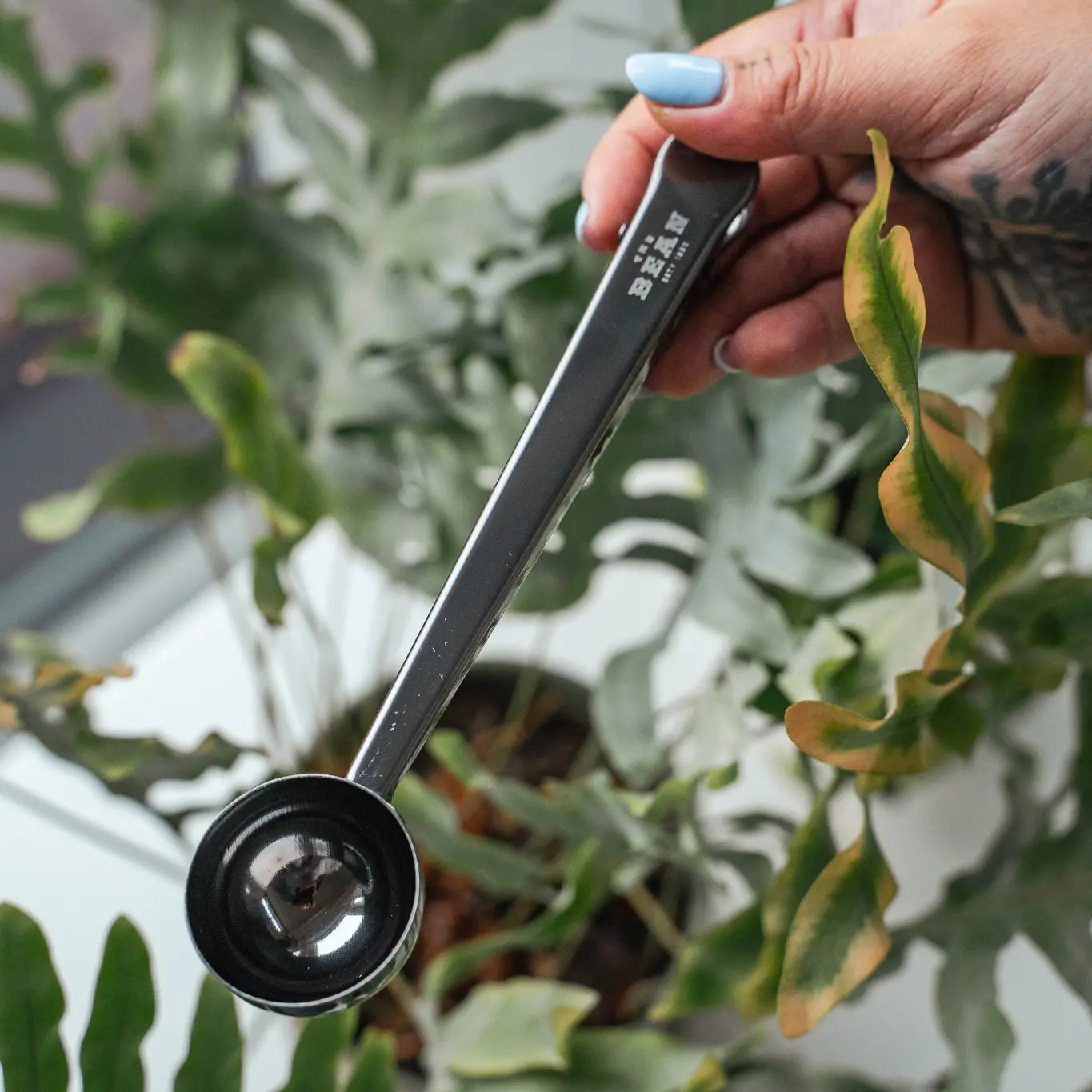 Coffee Spoon Clip – Bean Around The World Coffees
